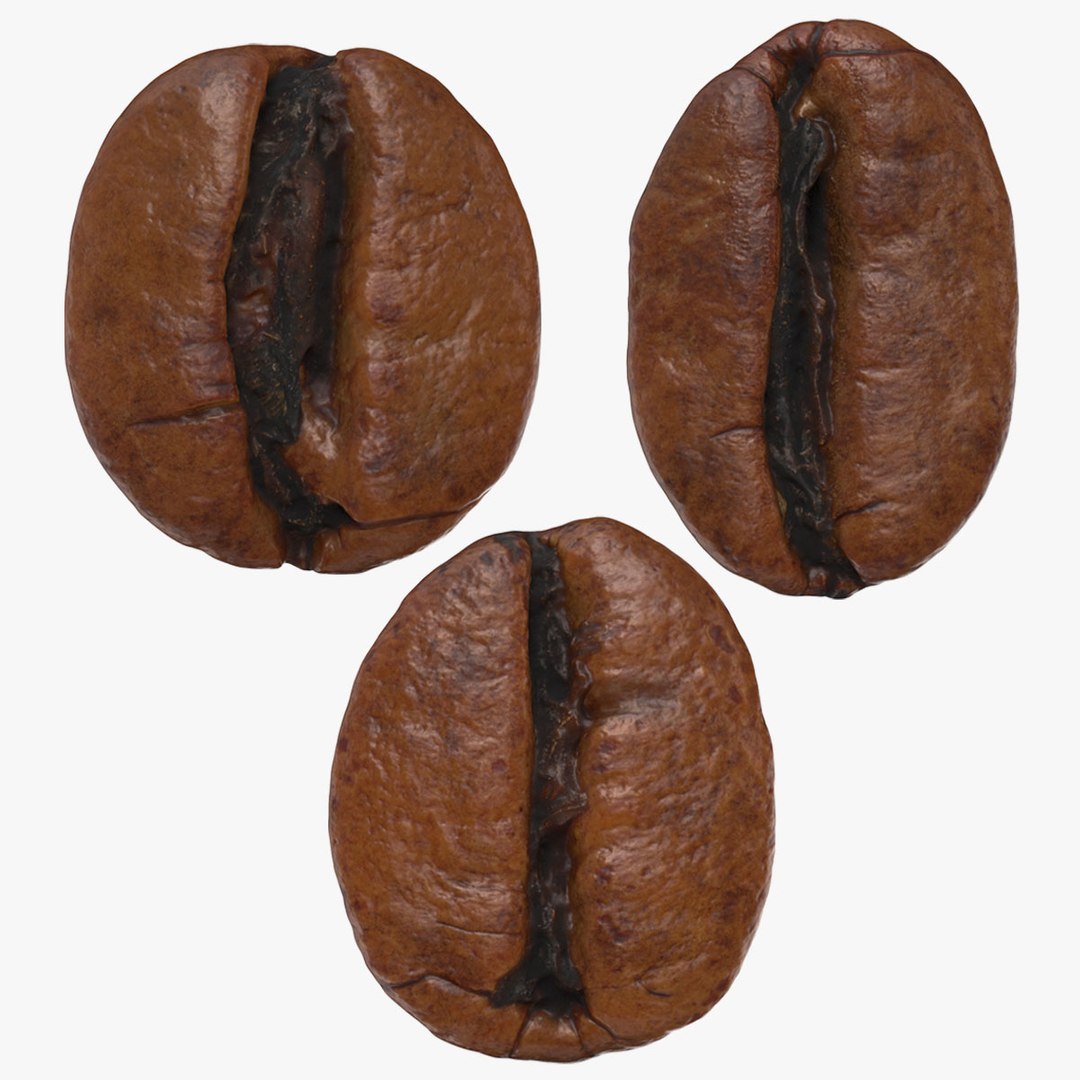 3D Coffee Bean Collection 3 - TurboSquid 2289118
