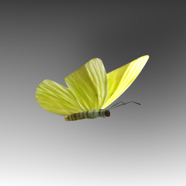 low-poly butterfly wings fly 3d model