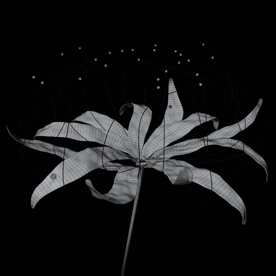3D Blue Spider Lily Model - TurboSquid 2084058