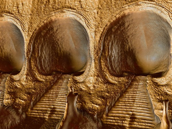 Alien mine tunnels 3D 모델 - TurboSquid 2094058