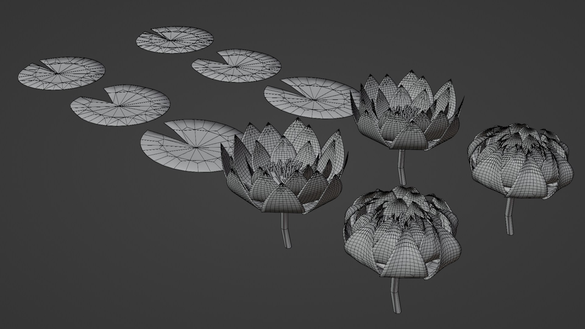 3D Model Lily Pad Collection - TurboSquid 1853143