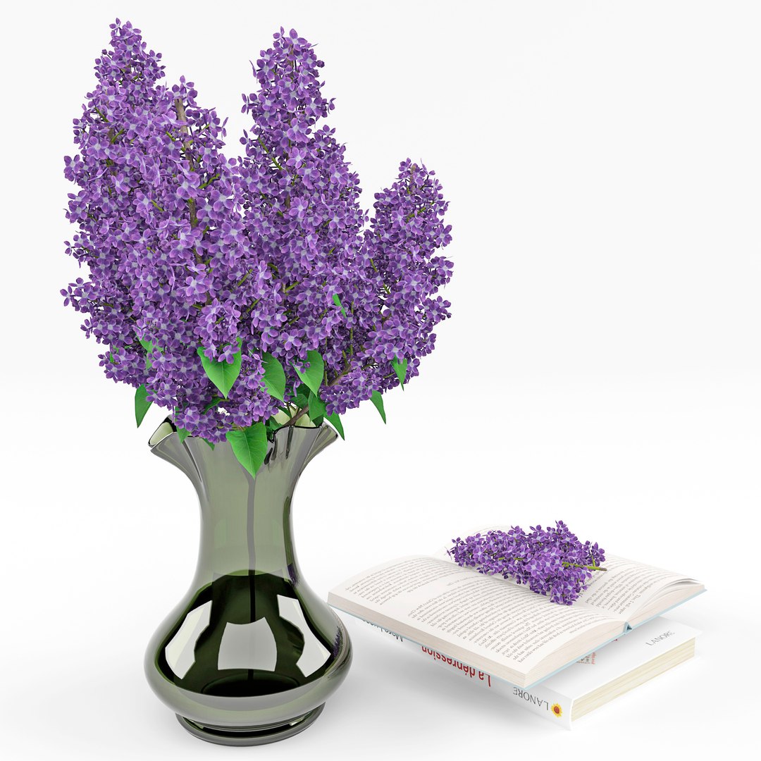 Lilac 3D model - TurboSquid 1254230