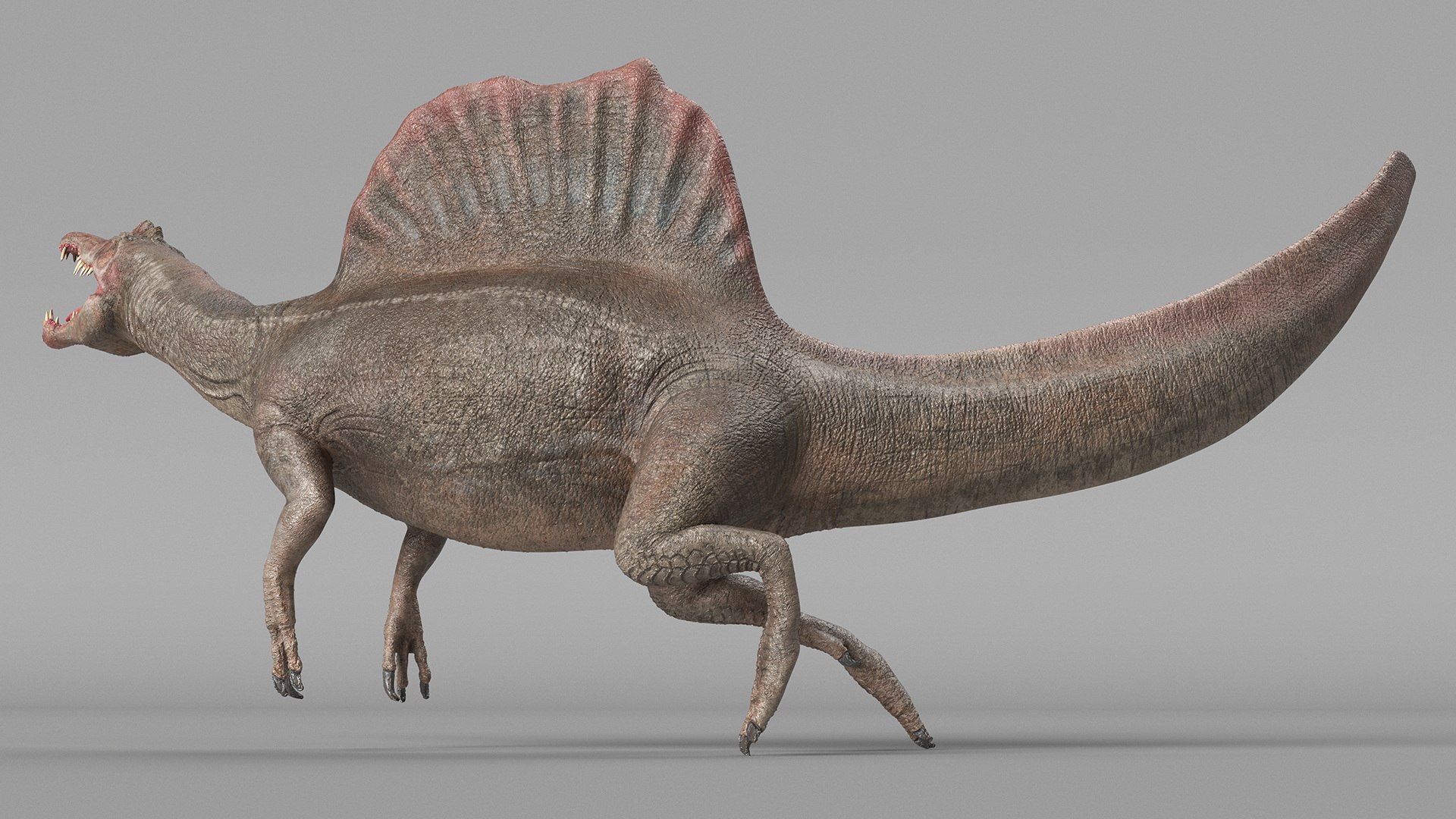 3D Spinosaurus Swimming Pose - TurboSquid 2264771