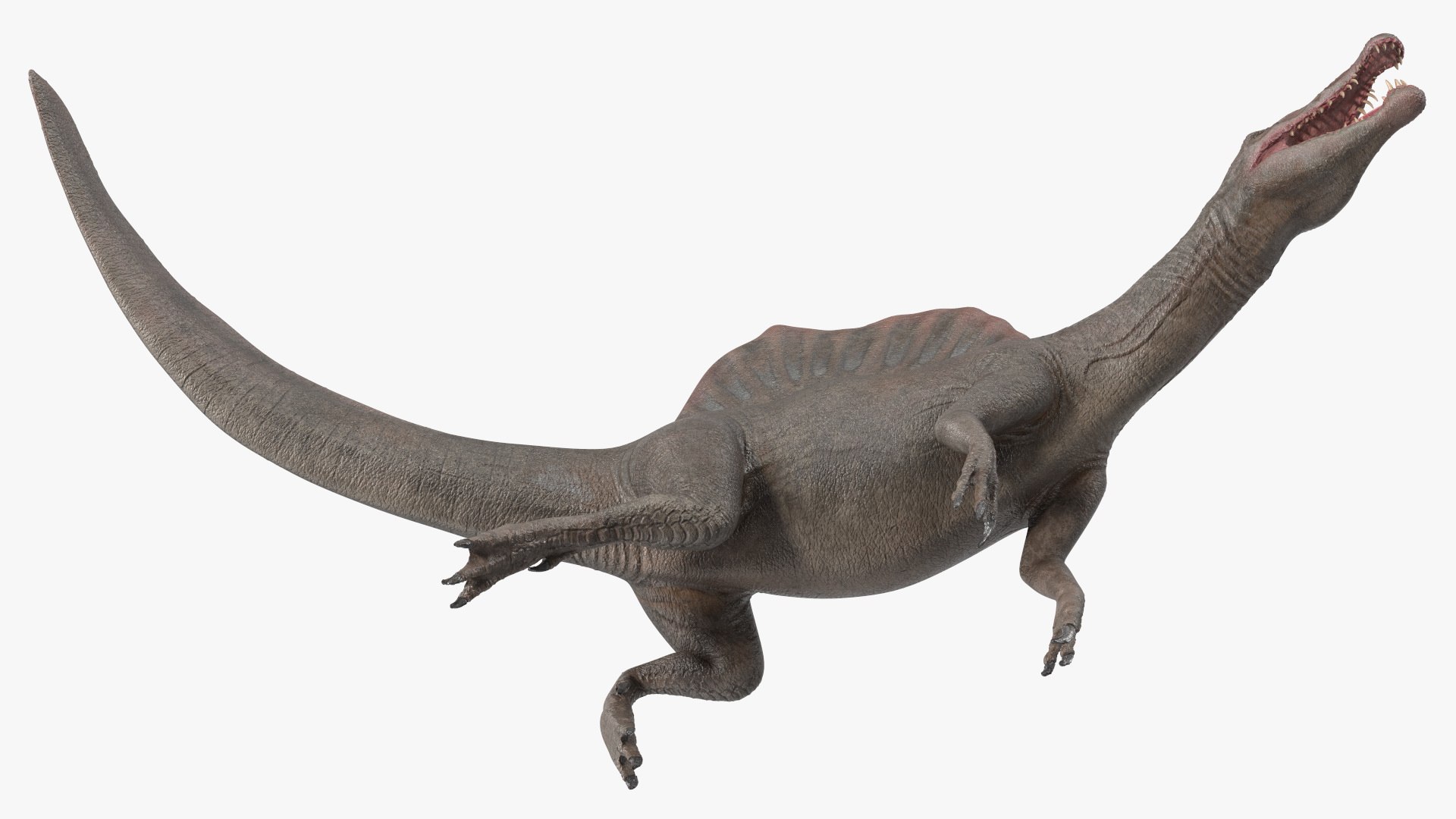 3D Spinosaurus Swimming Pose - TurboSquid 2264771