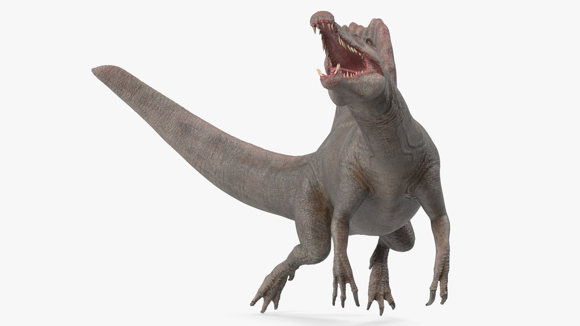3D Spinosaurus Swimming Pose - TurboSquid 2264771