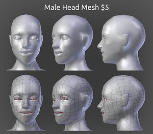male human body reference 3d obj