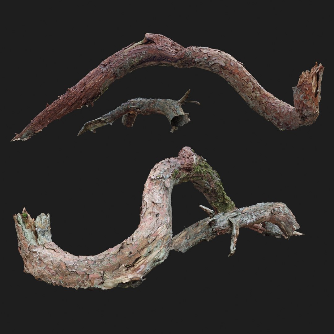 3D Dead Twisted Tree Scan - TurboSquid 1422028