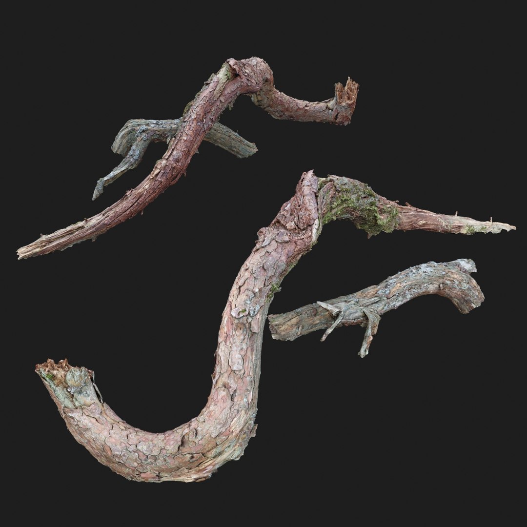 3D Dead Twisted Tree Scan - TurboSquid 1422028