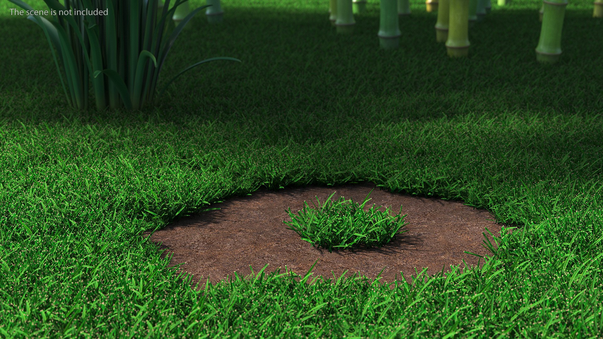 Realistic Lawn Grass Patch 3D Model - TurboSquid 2267771