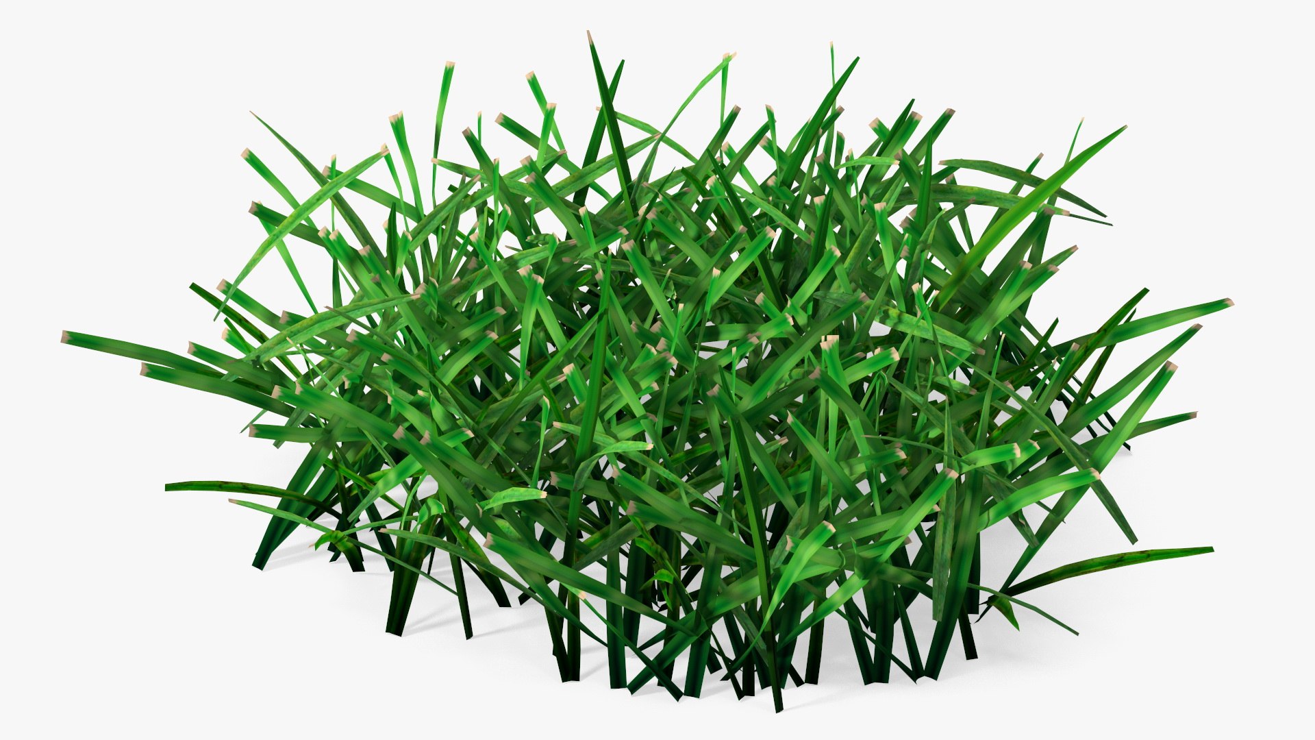Realistic Lawn Grass Patch 3D Model - TurboSquid 2267771