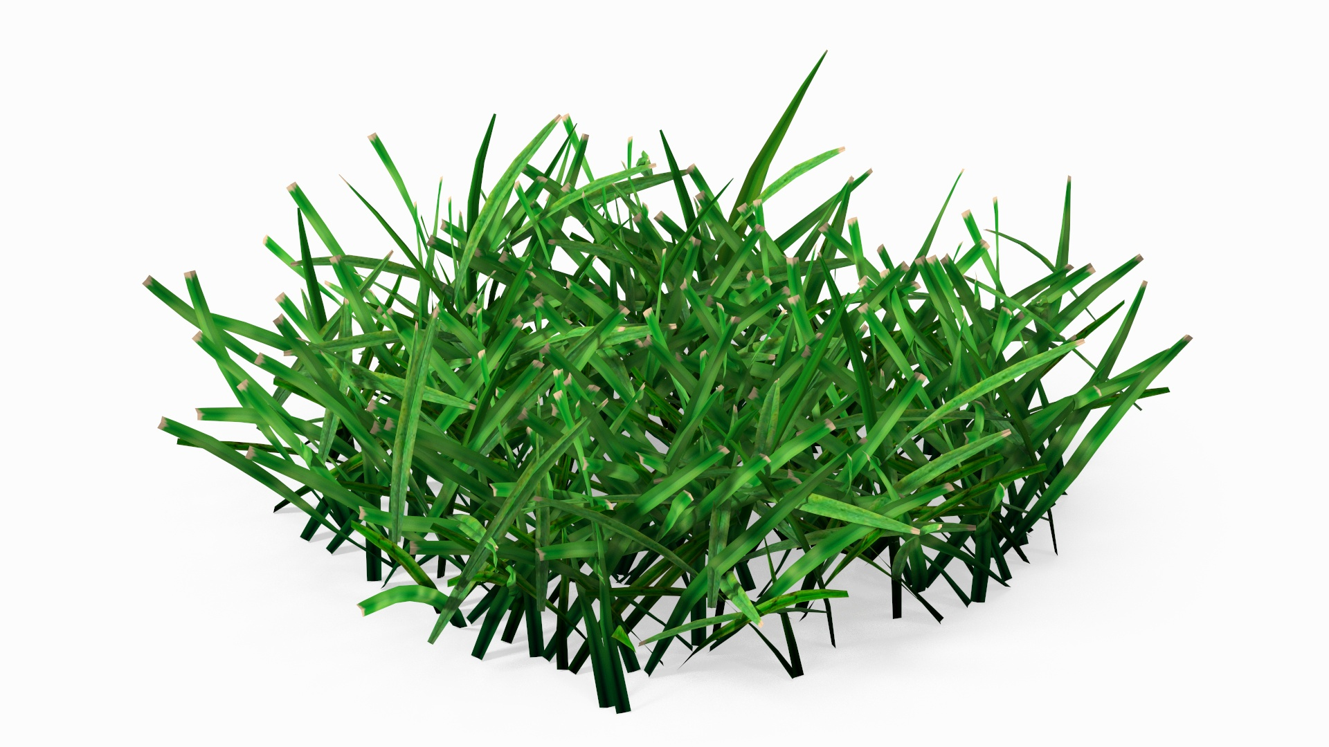 Realistic Lawn Grass Patch 3D Model - TurboSquid 2267771
