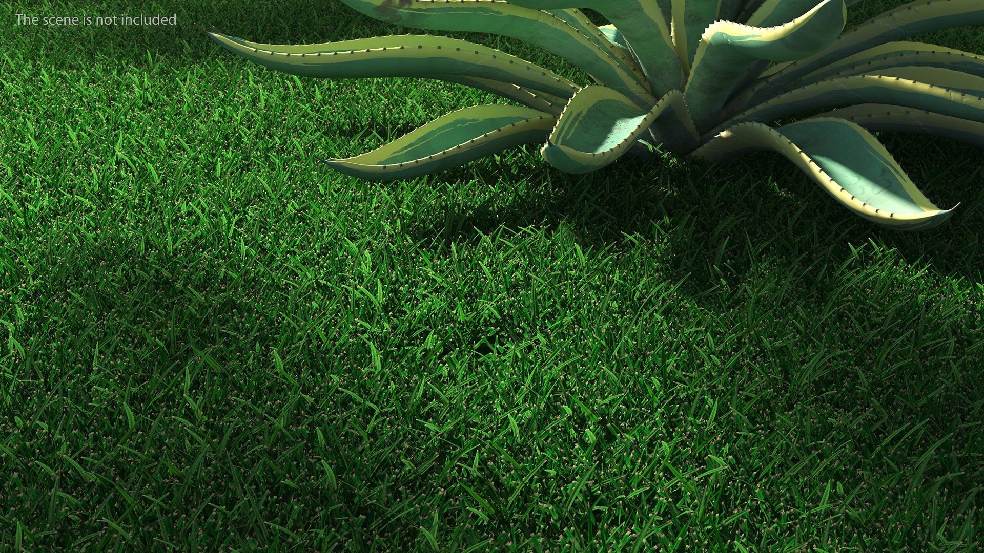 Realistic Lawn Grass Patch 3D Model - TurboSquid 2267771