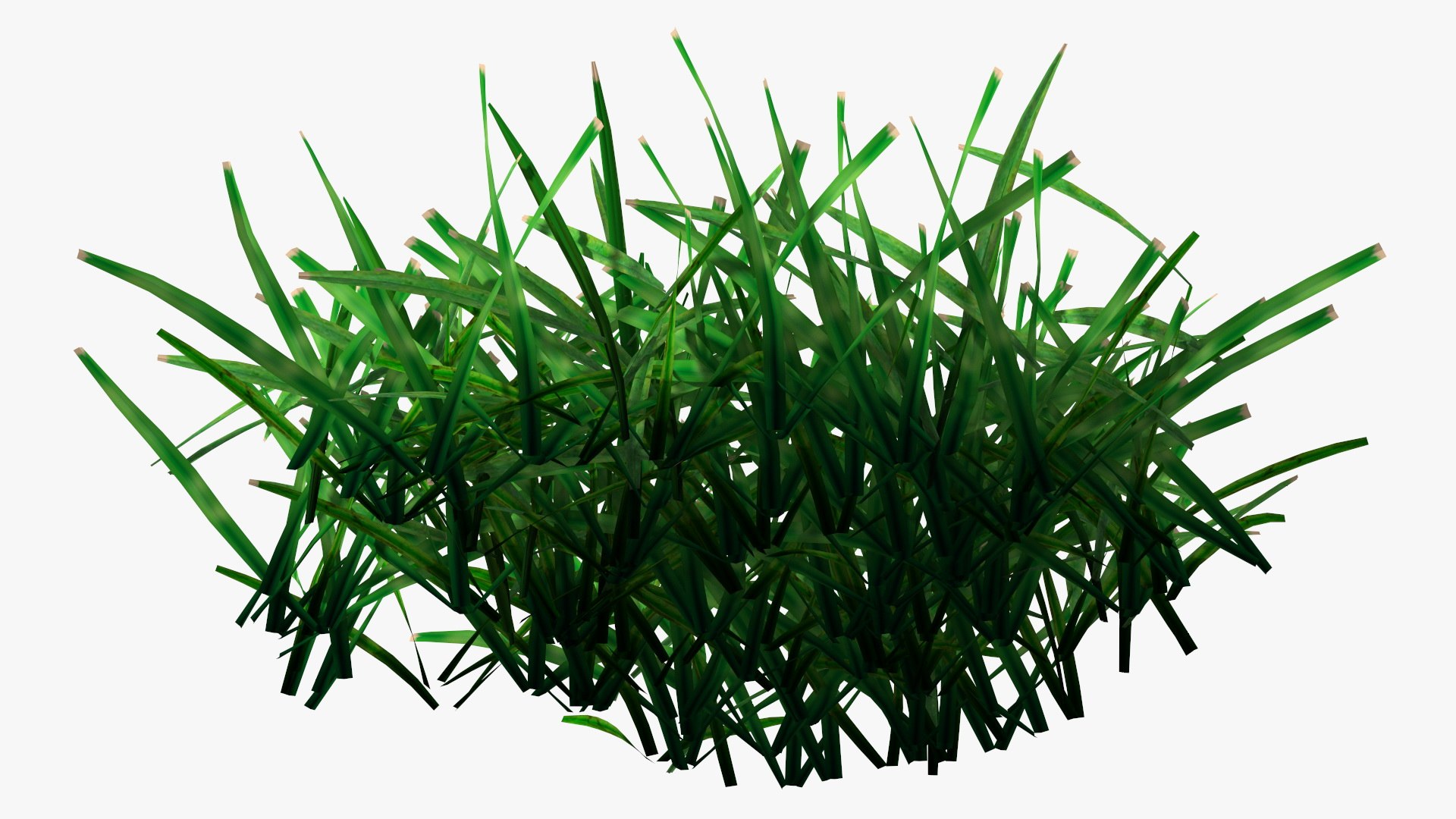 Realistic Lawn Grass Patch 3D Model - TurboSquid 2267771
