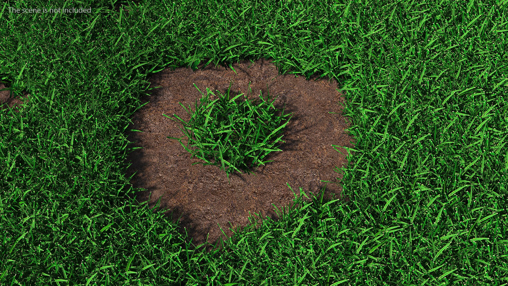 Realistic Lawn Grass Patch 3D Model - TurboSquid 2267771