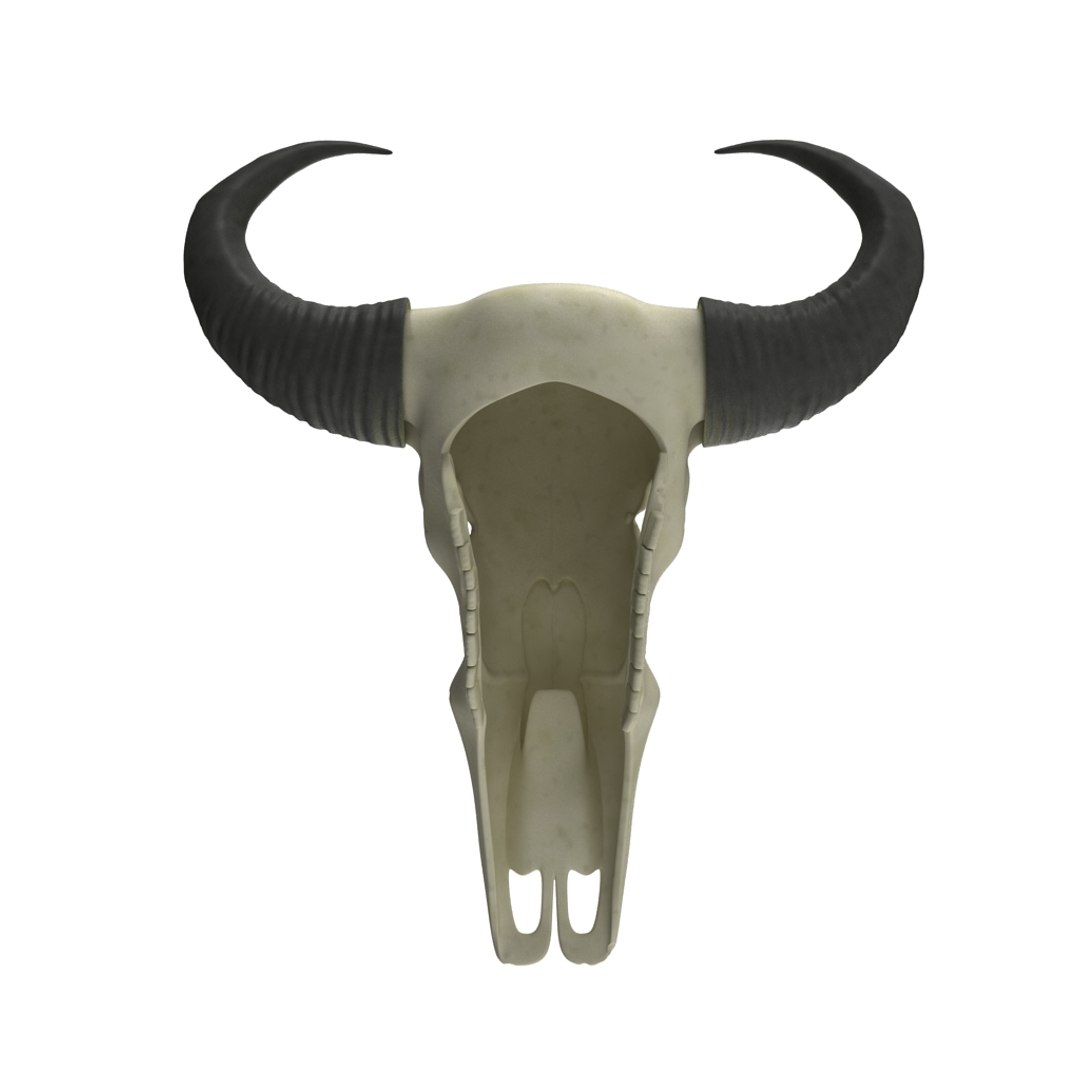 Max Buffalo Skull