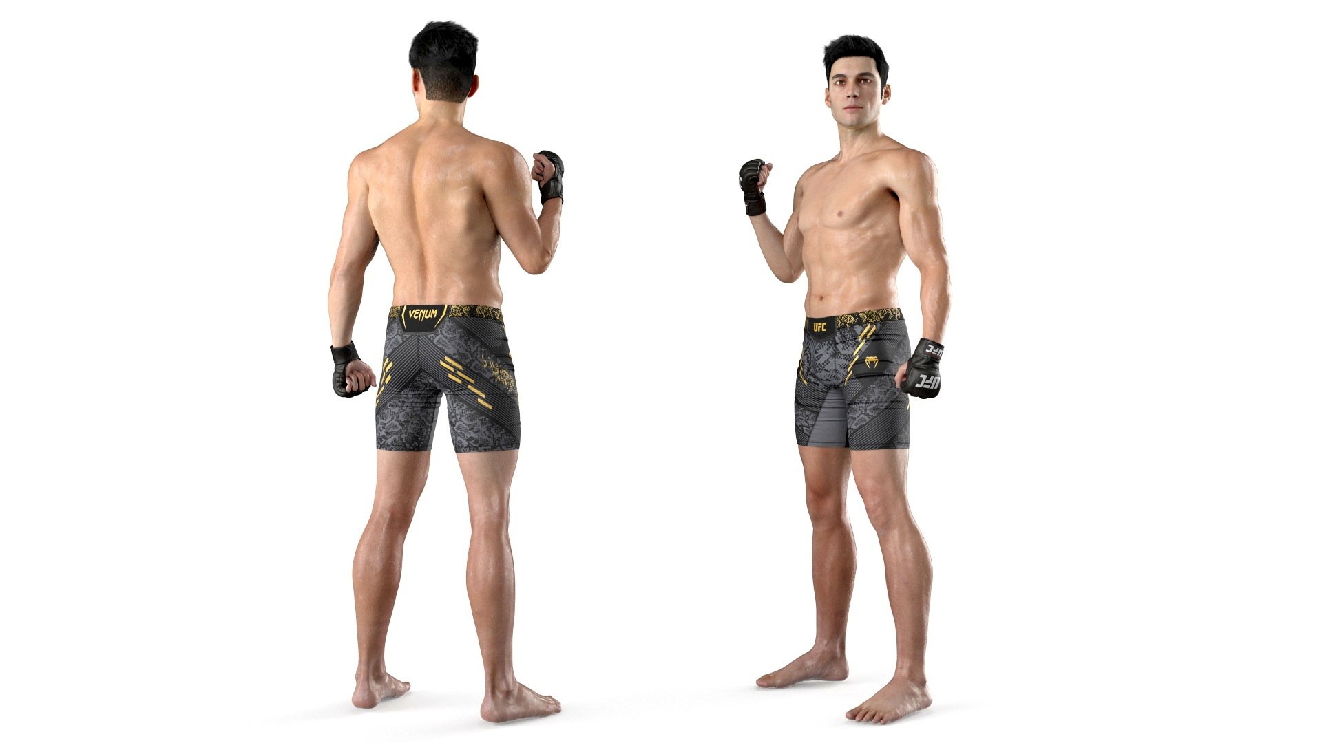 D Model Fighter Ufc Mma In Pose Sweaty Fur Turbosquid