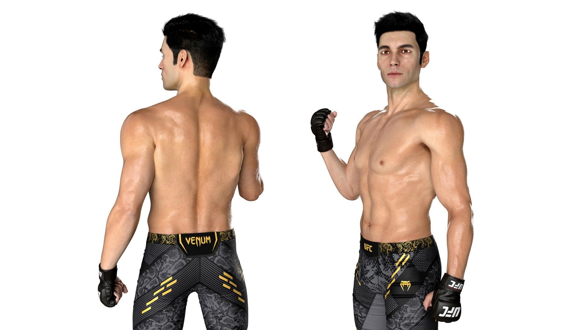 D Model Fighter Ufc Mma In Pose Sweaty Fur Turbosquid