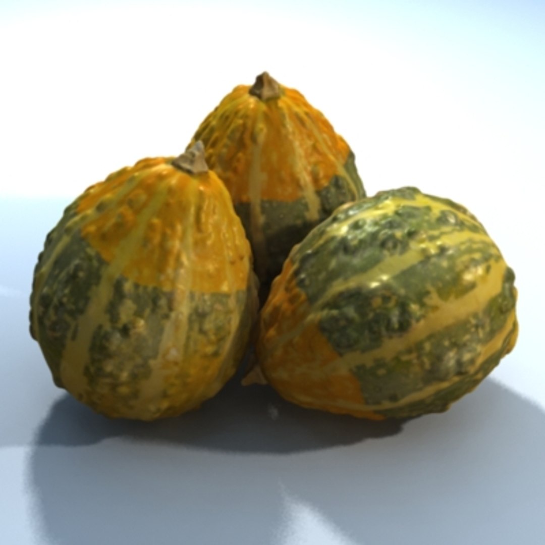 3d model gourd scan