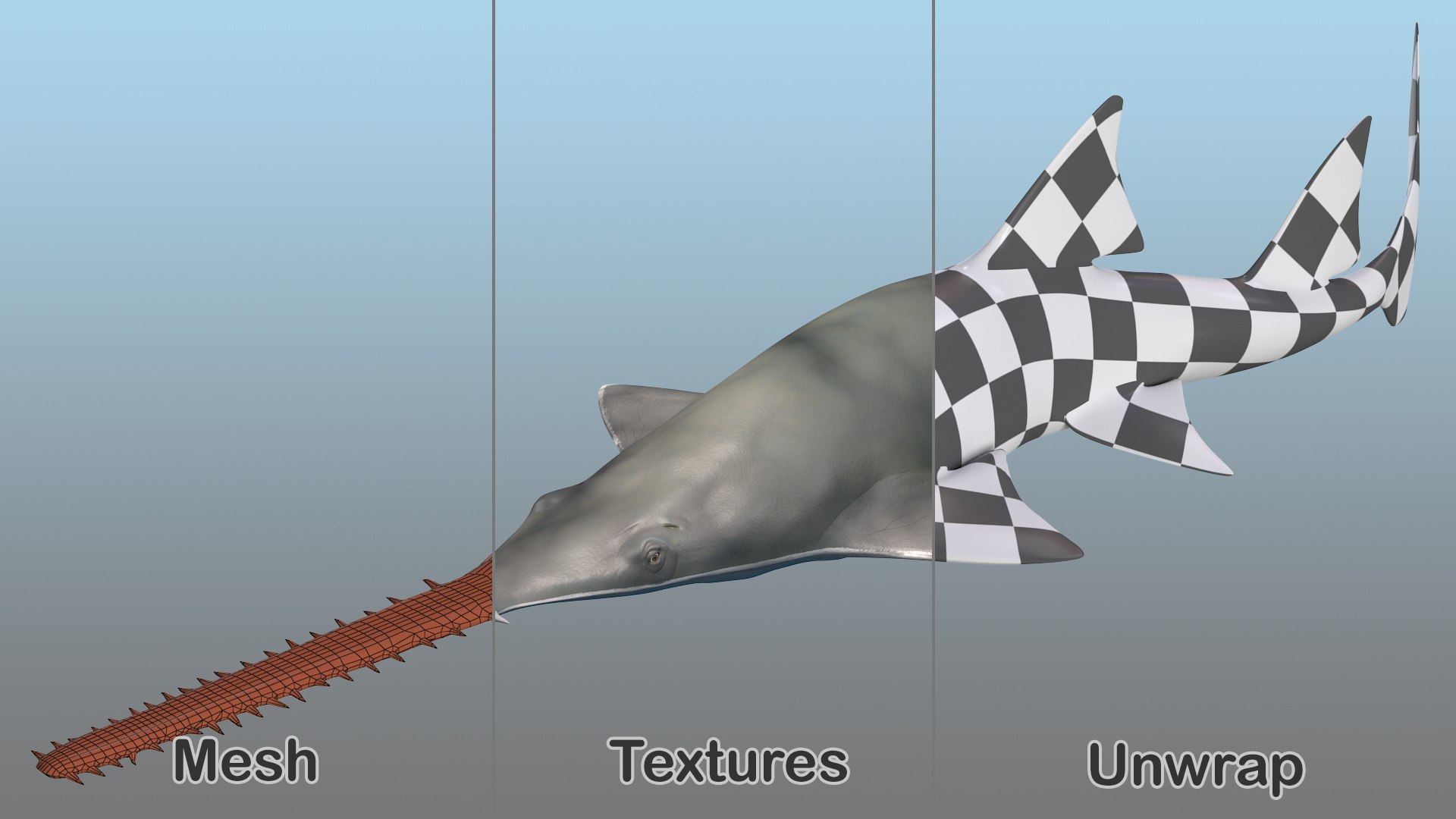 3D Model Sawfish Attack Pose Fish - TurboSquid 1580988