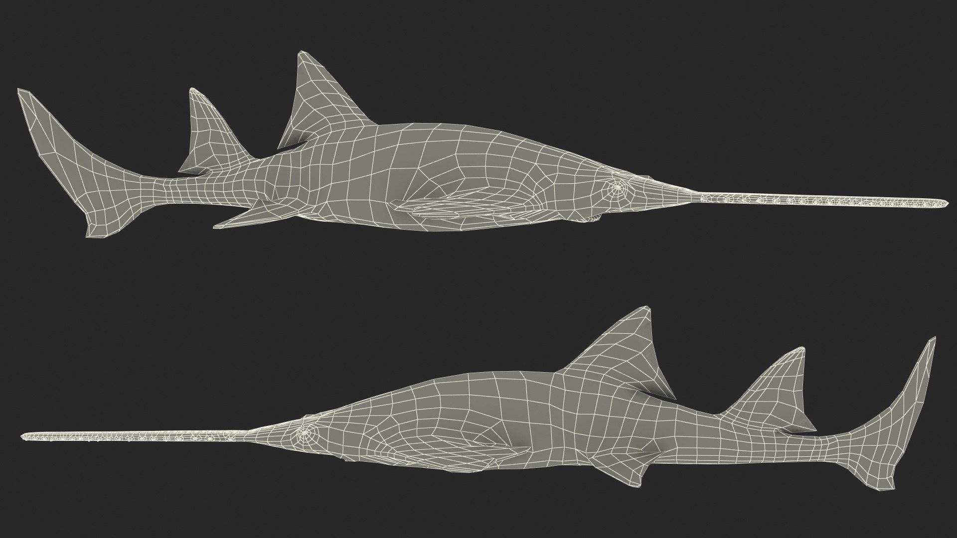 3D Model Sawfish Attack Pose Fish - TurboSquid 1580988