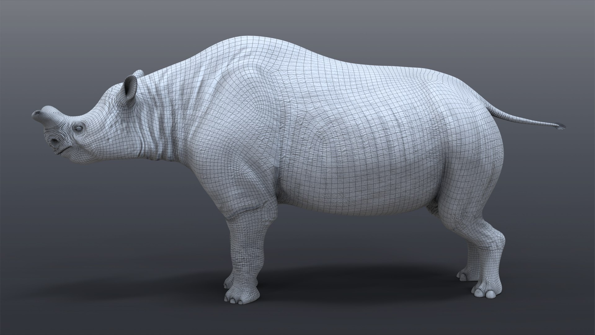 Megacerops Coloradensis 3D Model - TurboSquid 2358038