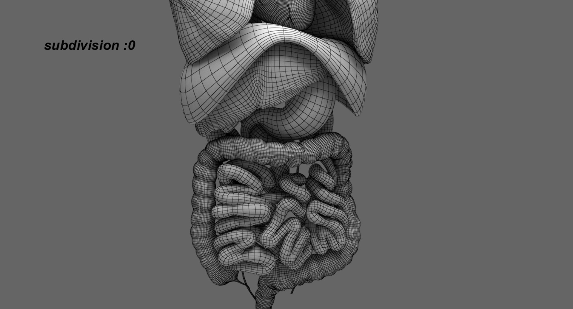 Internal Organs 3D Model - TurboSquid 1286974