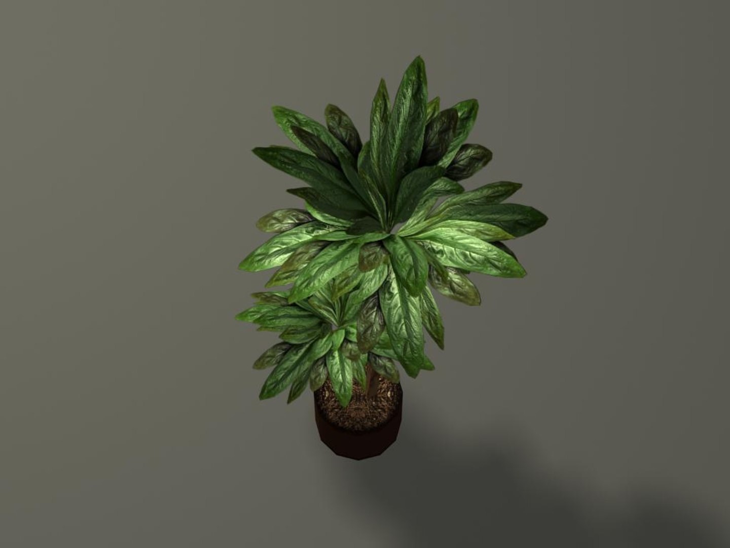 Potted Plants Series 01 Obj