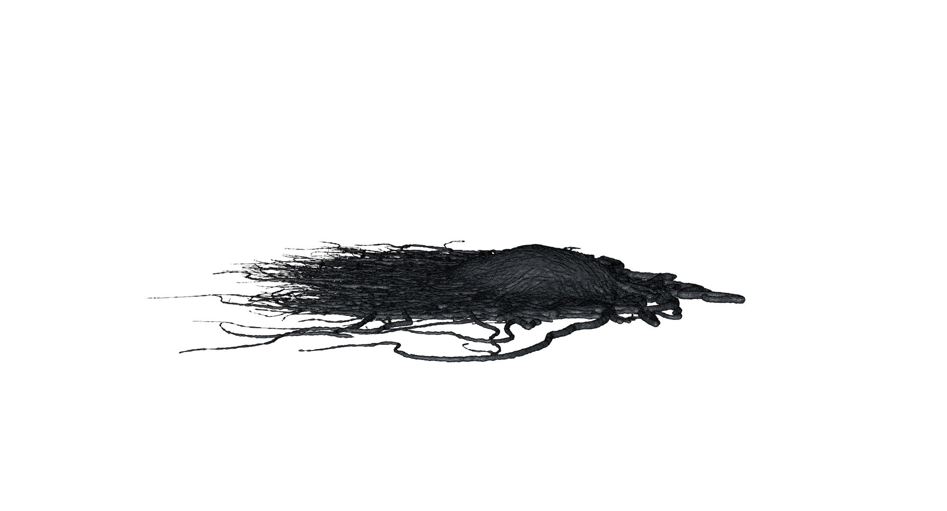 3d animation dying cell model