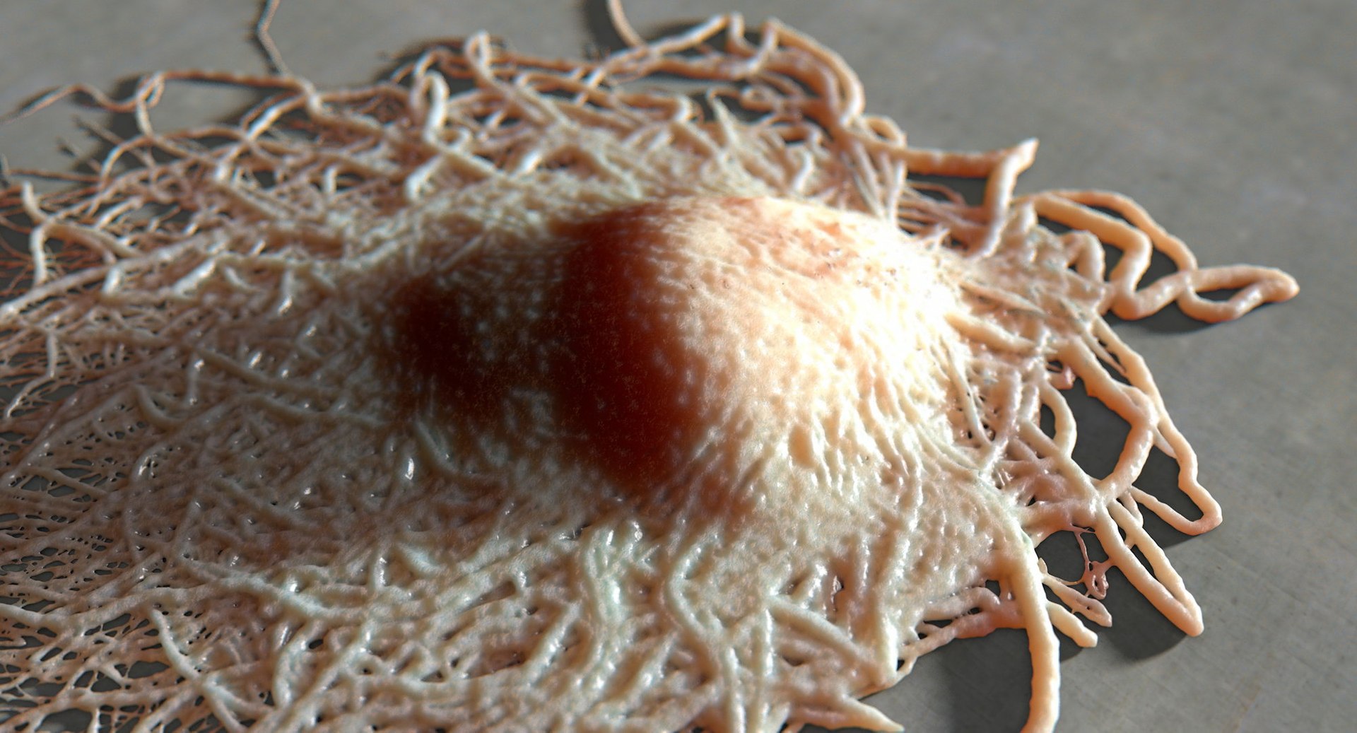 3d Animation Dying Cell Model