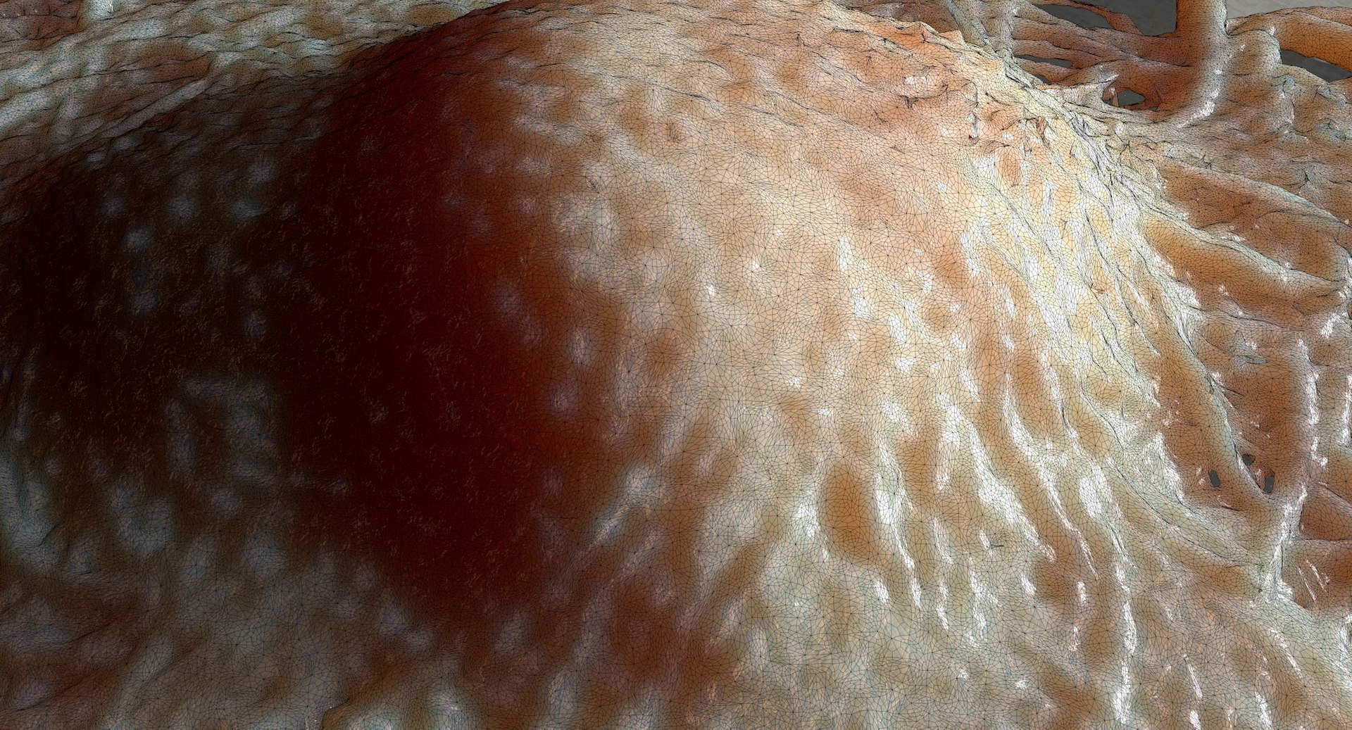 3d Animation Dying Cell Model