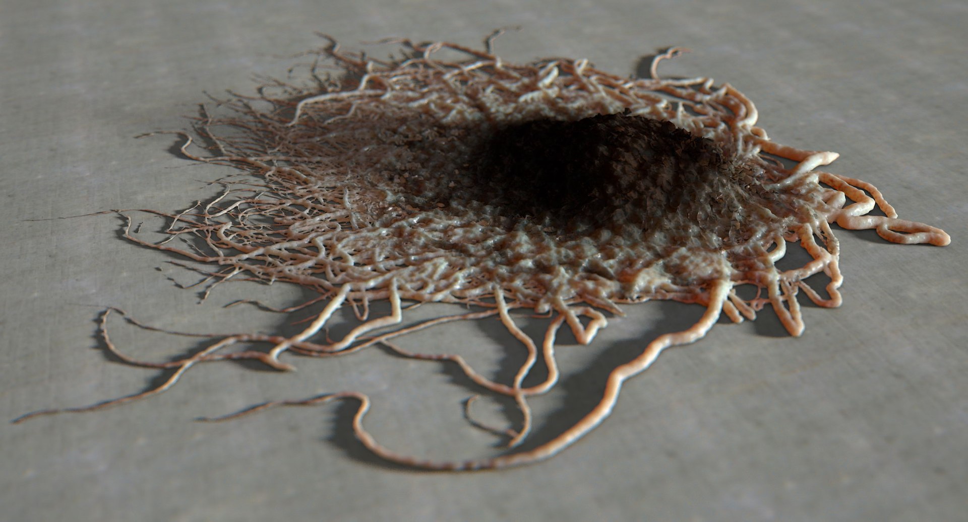 3d Animation Dying Cell Model