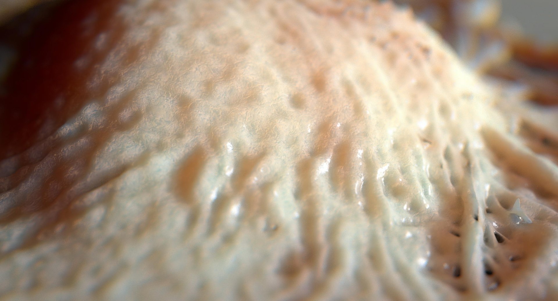 3d Animation Dying Cell Model