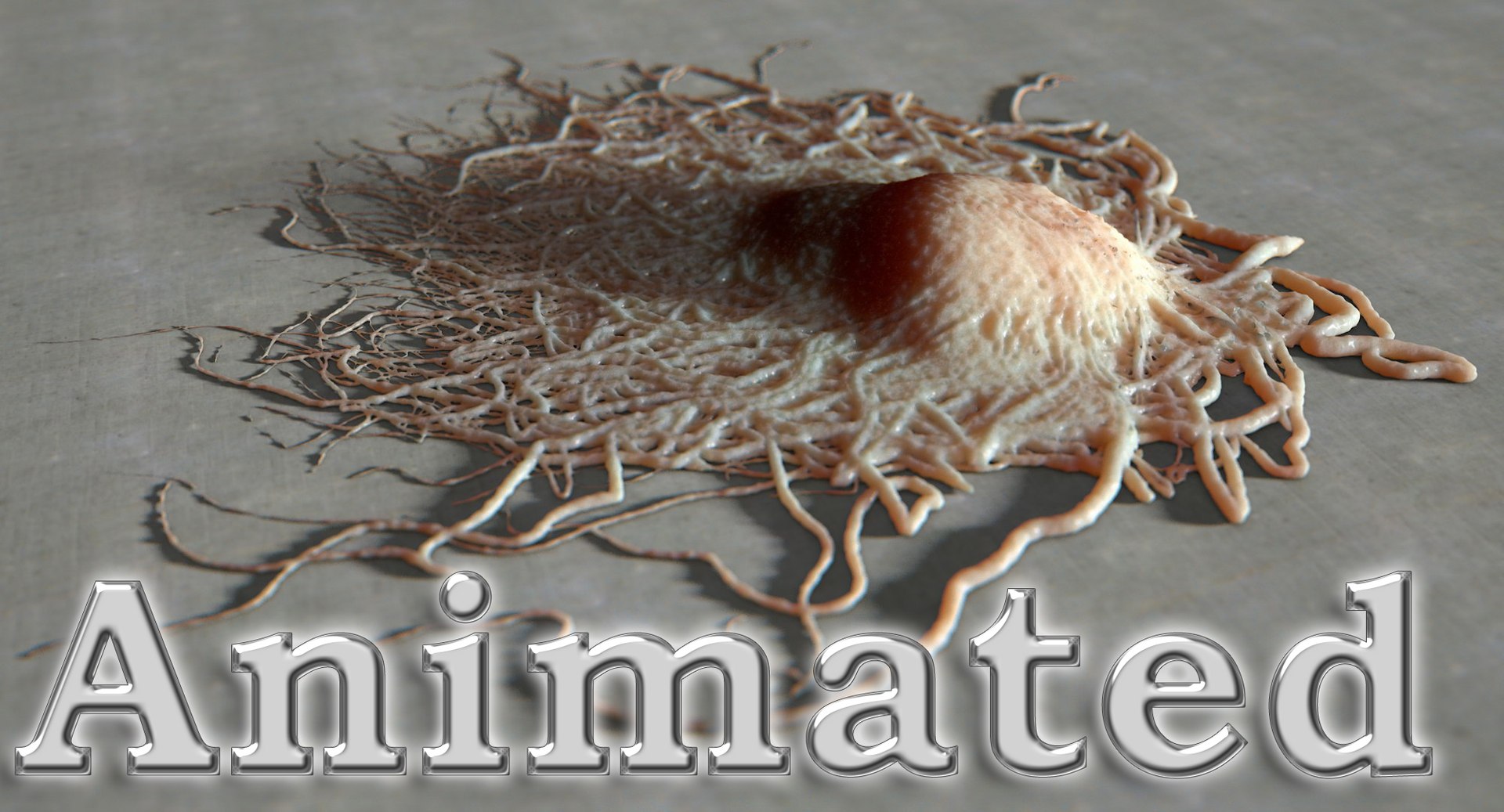 3d animation dying cell model