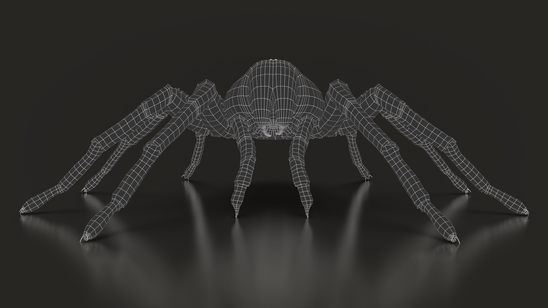 3D TARANTULA RIG XGEN - TurboSquid 2253822