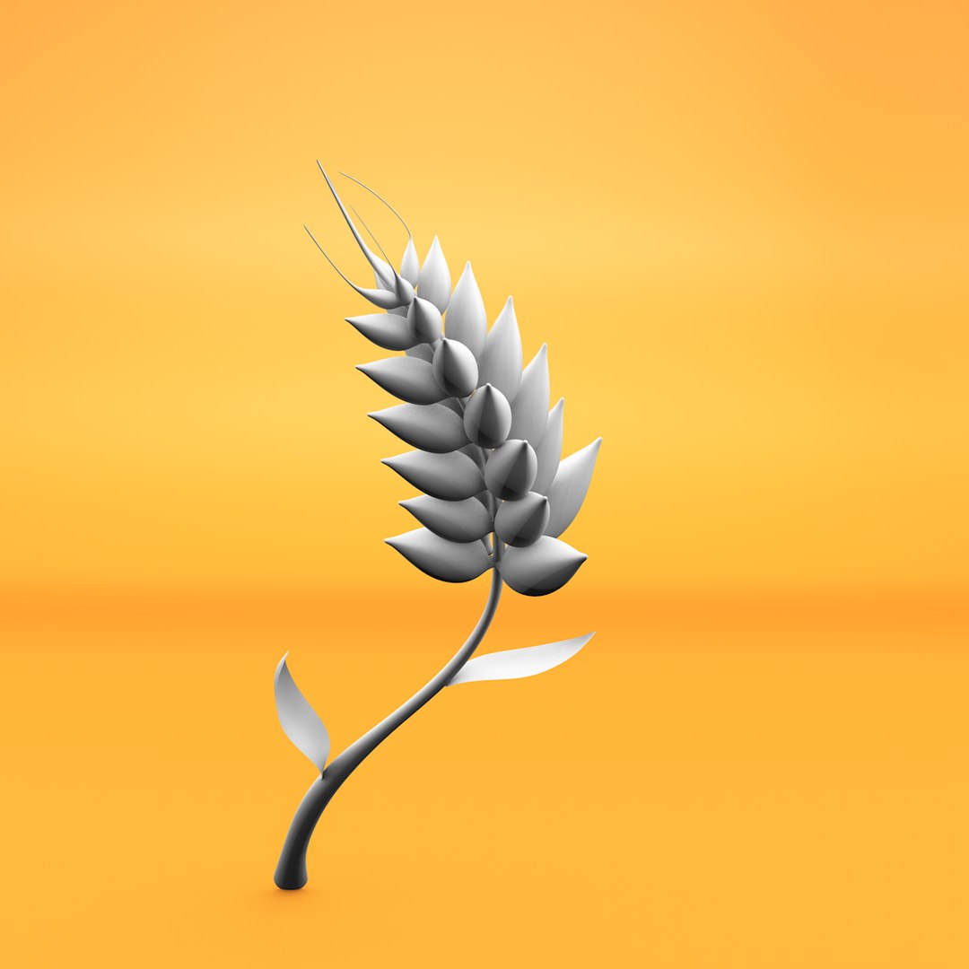 Cartoon Wheat 3D Model - TurboSquid 1235970