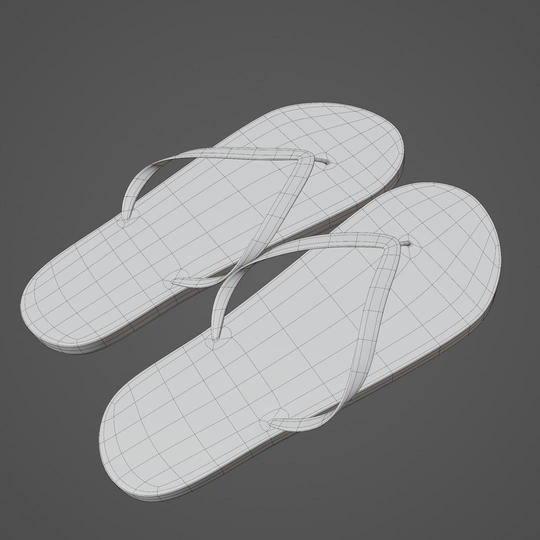 Free FlipFlop 3D Model - TurboSquid 2073830