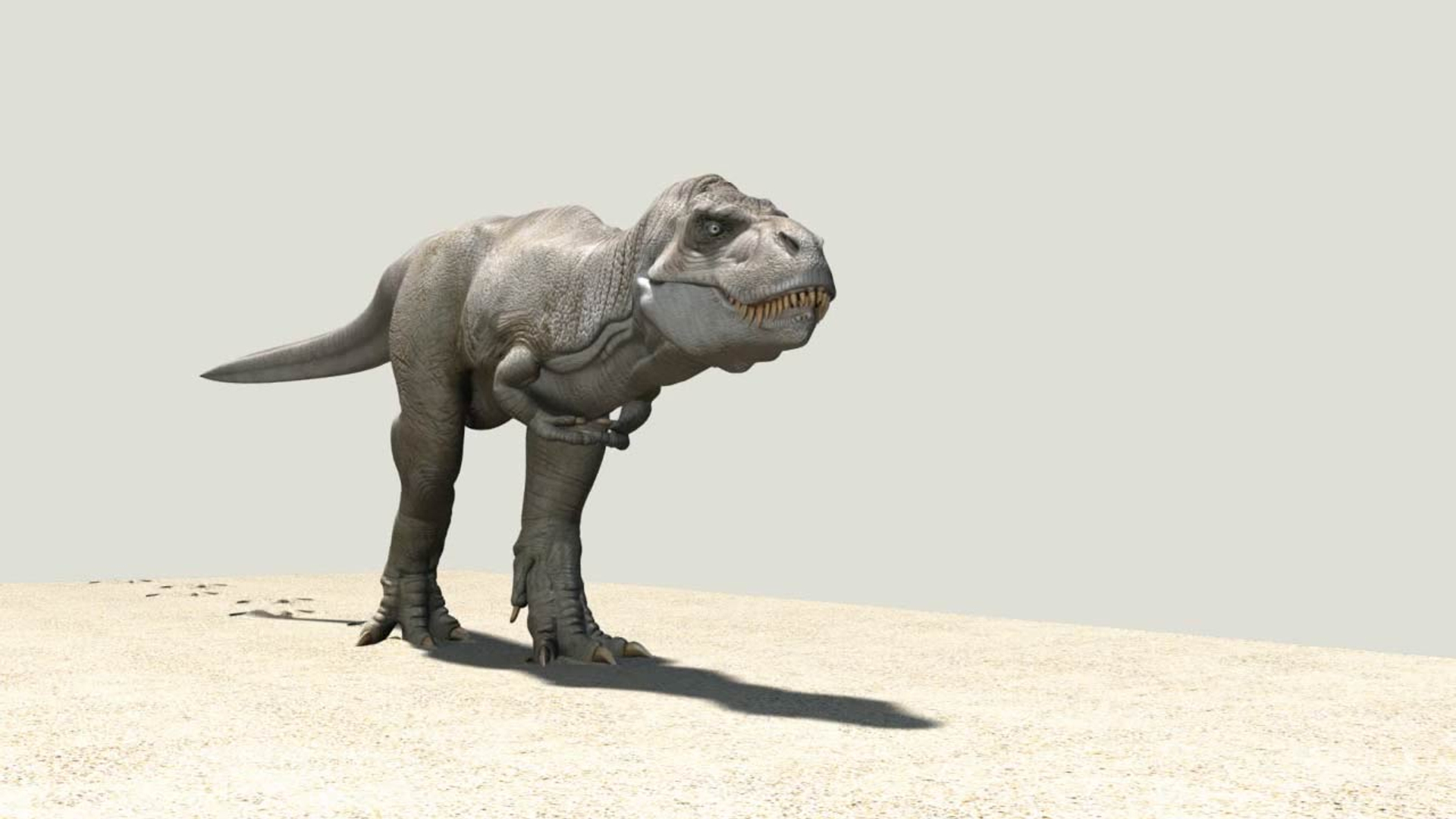 动画T.rex Maya 2014+3D模型 - TurboSquid 997057