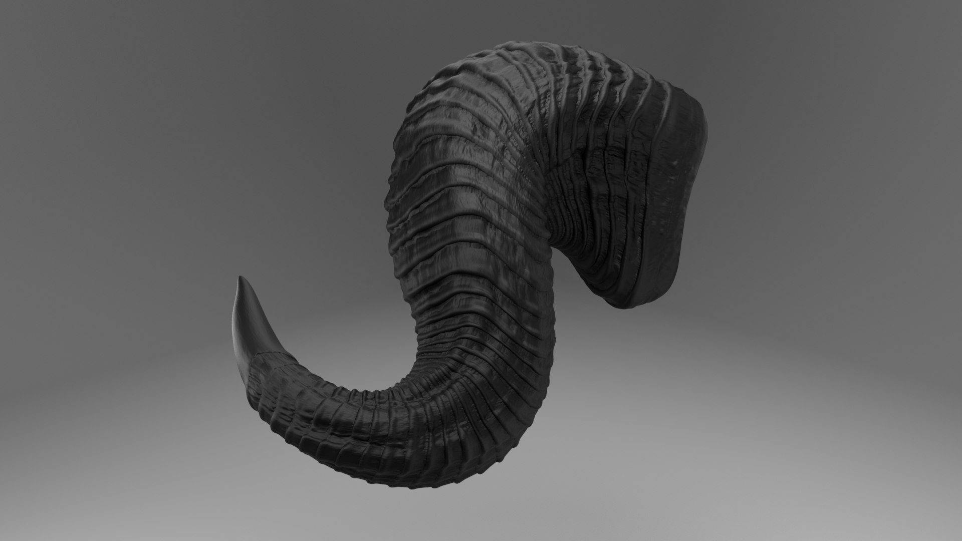 Horn Model - TurboSquid 1970553