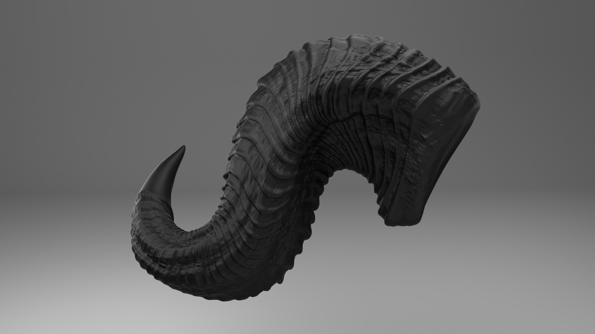 Horn Model - TurboSquid 1970553