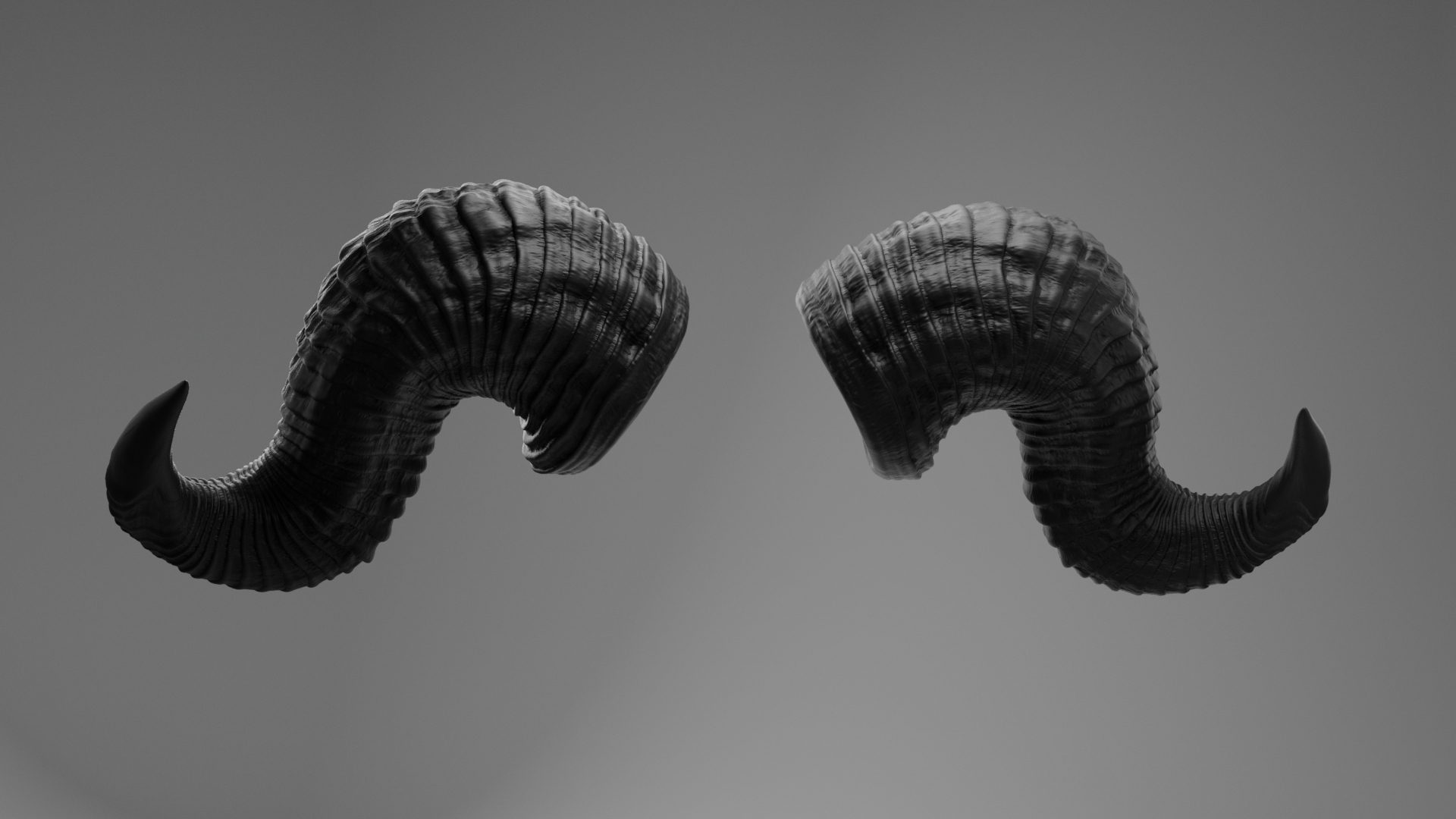 Horn Model - TurboSquid 1970553