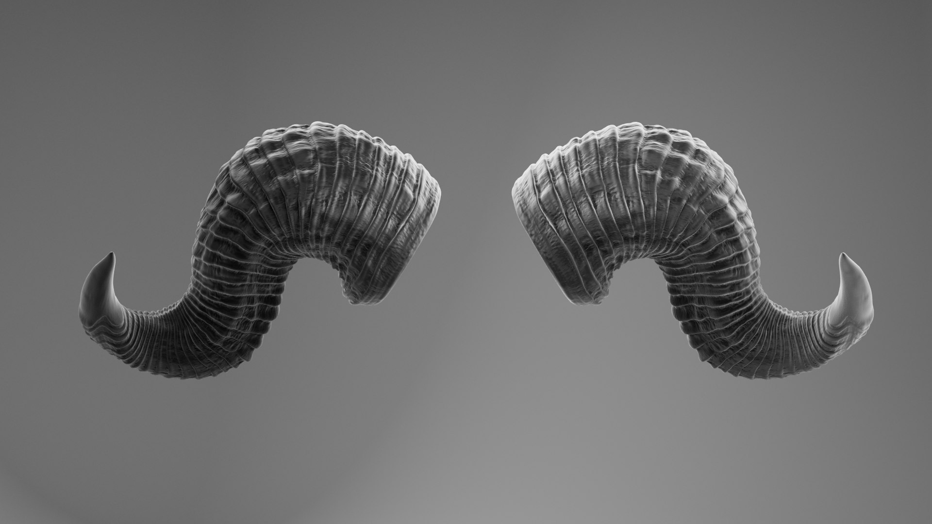 Horn Model - TurboSquid 1970553