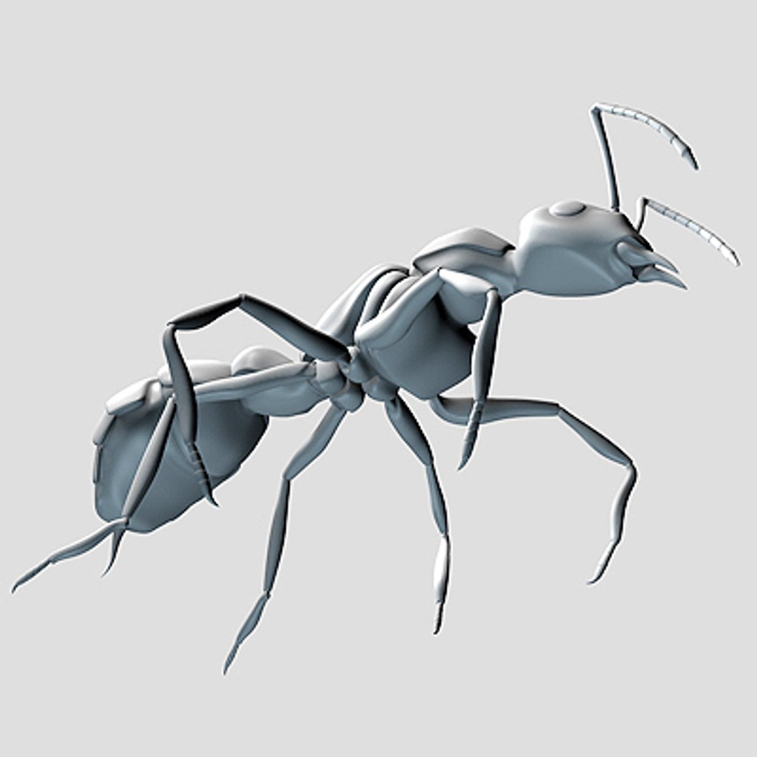 3d ant animation