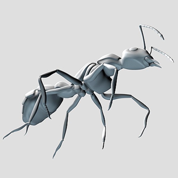 3d ant animation