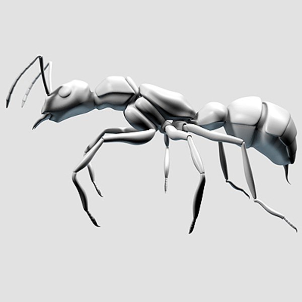 3d ant animation