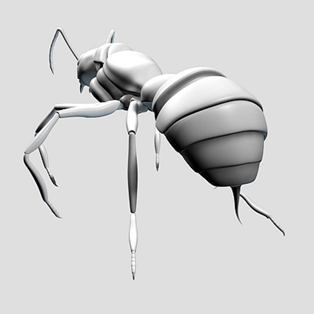 3d ant animation