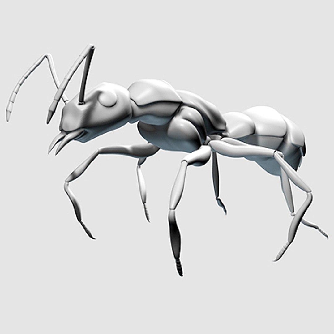 3d ant animation