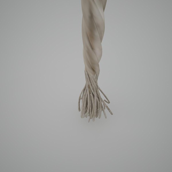 3D model rope - TurboSquid 1262233