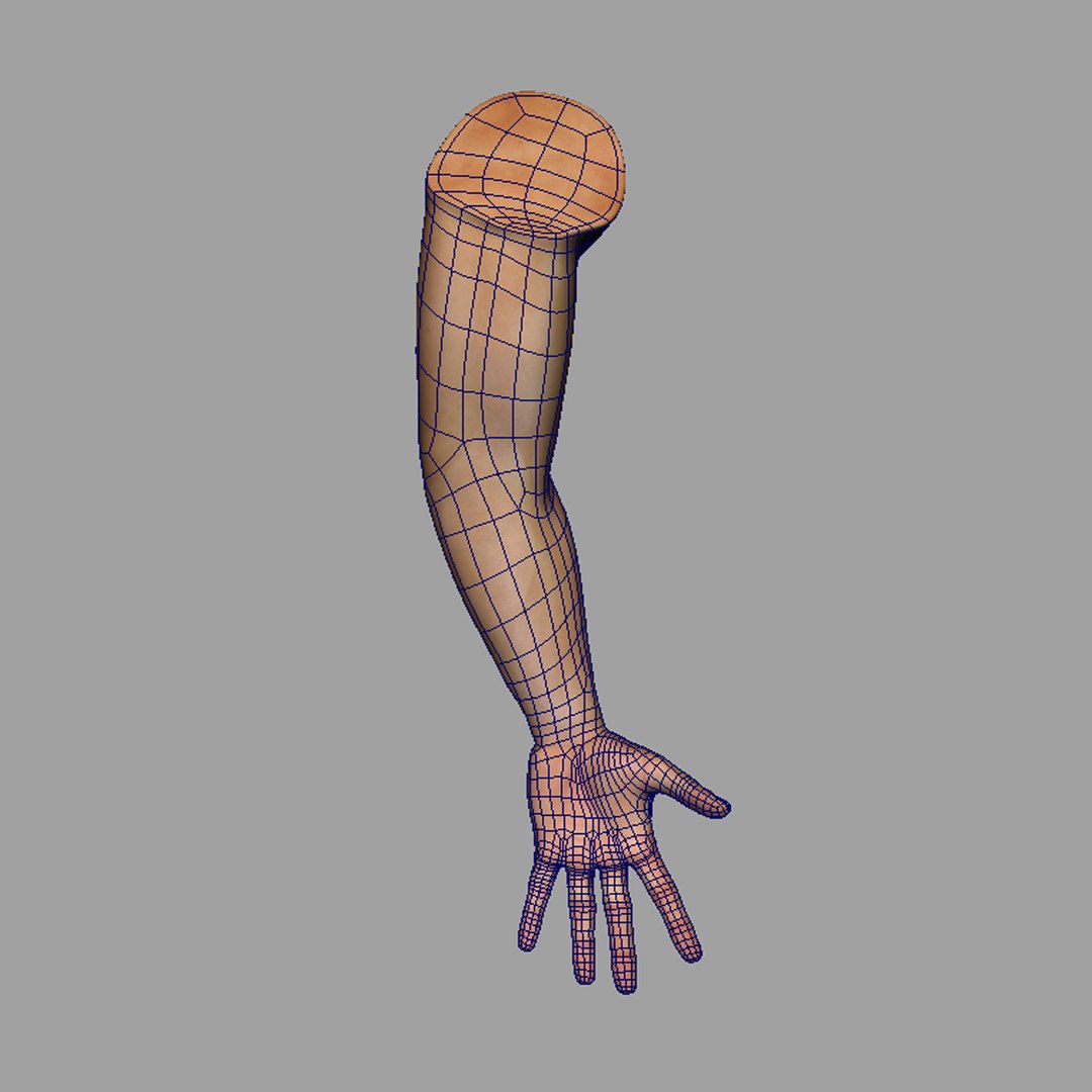 3D Realistic Male Arm Model - TurboSquid 1295834