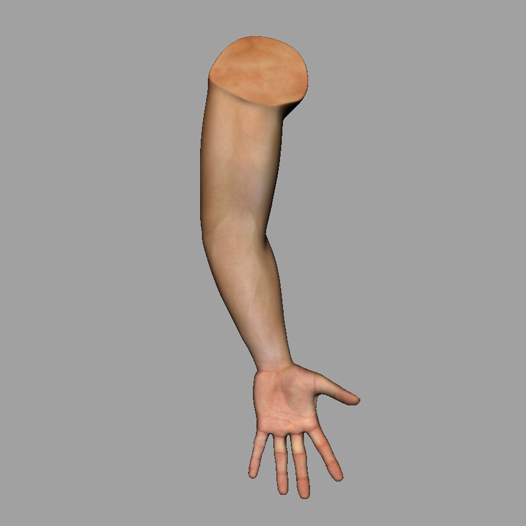 3D Realistic Male Arm Model - TurboSquid 1295834