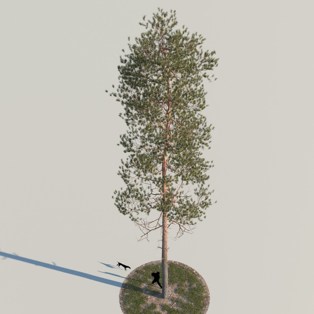 3ds max realistic pine tree